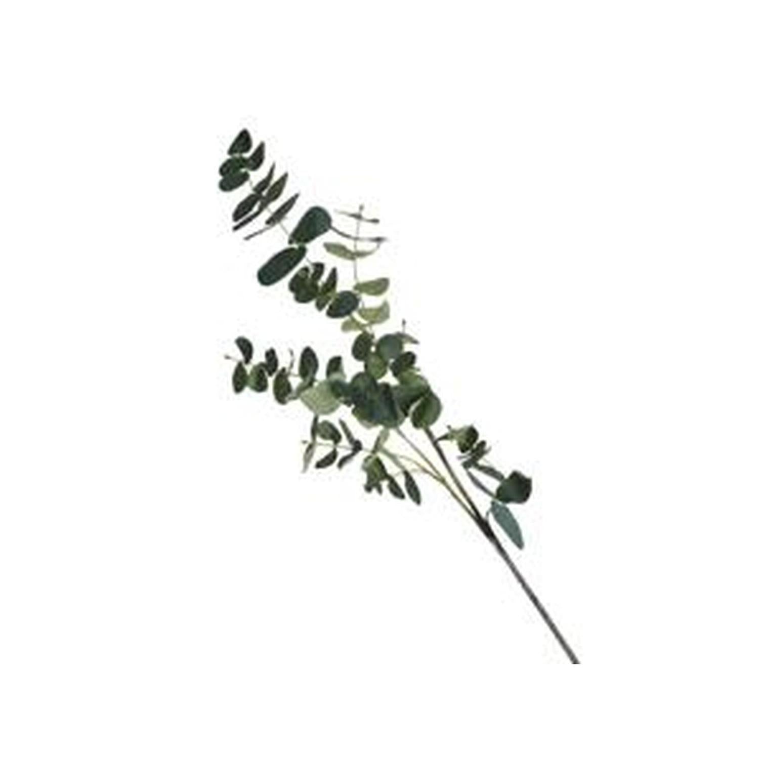 Flores Y Hojas Sueltas 88 Eucalipto F243 – Muebles Jamar